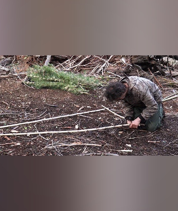 Outfoxed - Alone (Season 3, Episode 5) - Apple TV