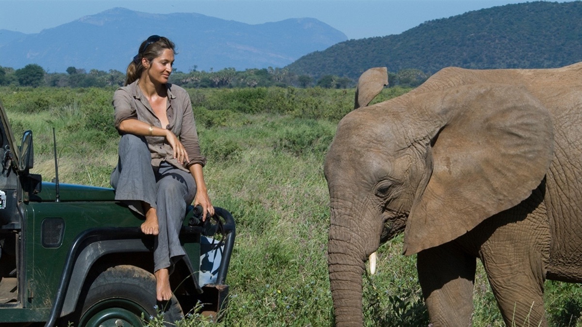 Welcome to the Family - The Secret Life of Elephants (Series 1, Episode ...