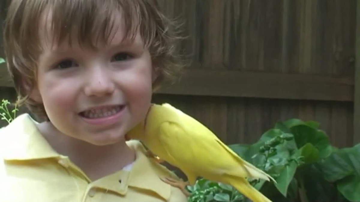 Zoo Squad - Apple TV