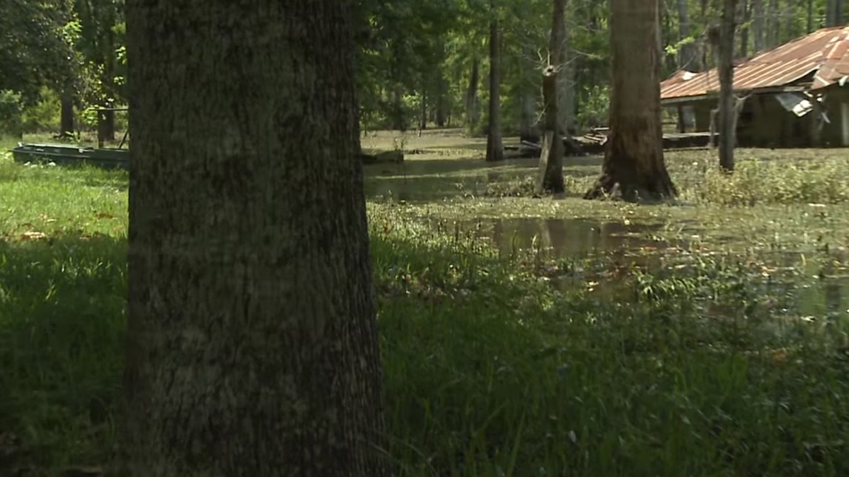 Honey Island Swamp Monster