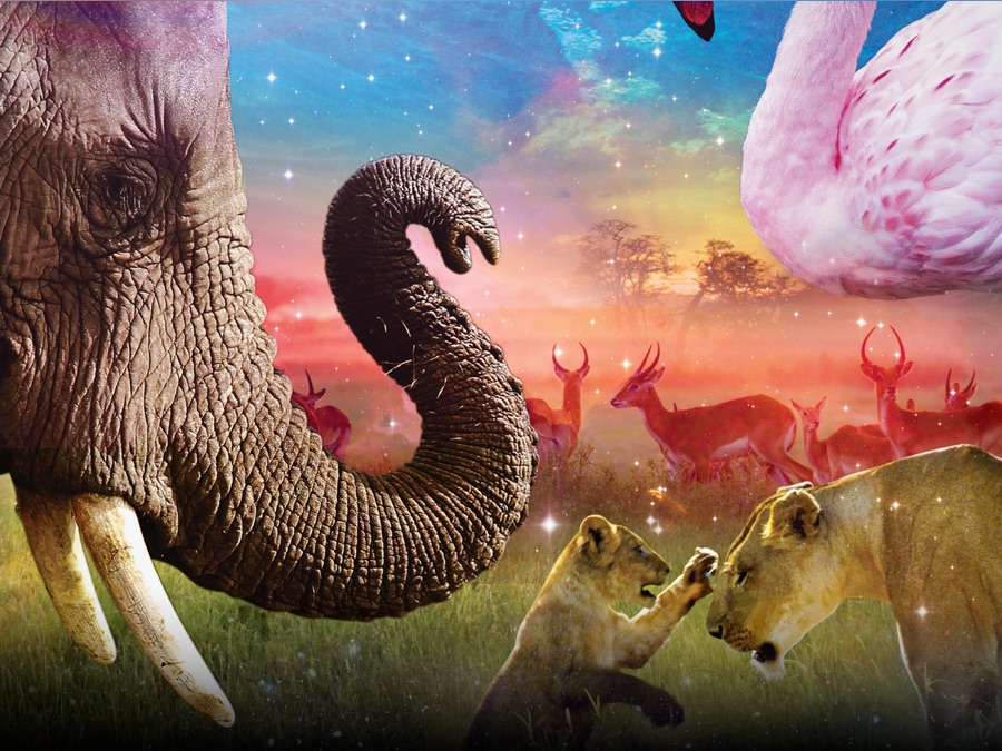 Enchanted Kingdom - Apple TV (UK)