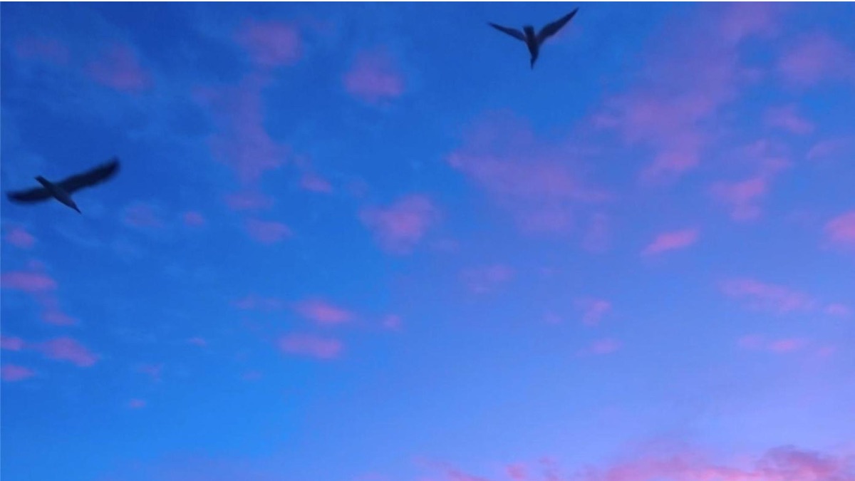 ‎Climate California - Apple TV