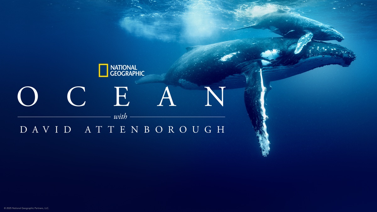 ‎Ocean with David Attenborough - Apple TV