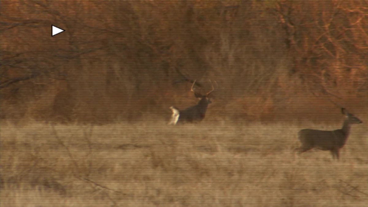 Tombo in Texas - Buck Commander (Season 1, Episode 3) - Apple TV