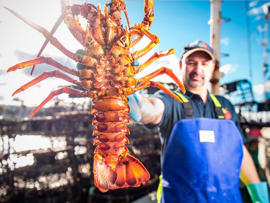 Giant Lobster Hunters - Apple TV (AU)