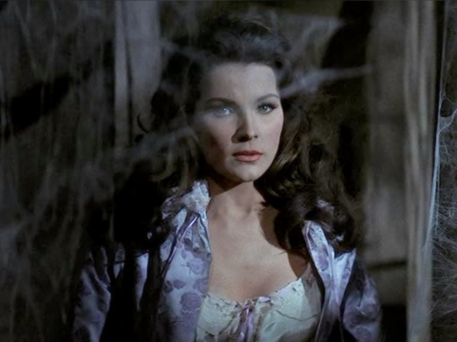 The Haunted Palace - Apple TV (AU)