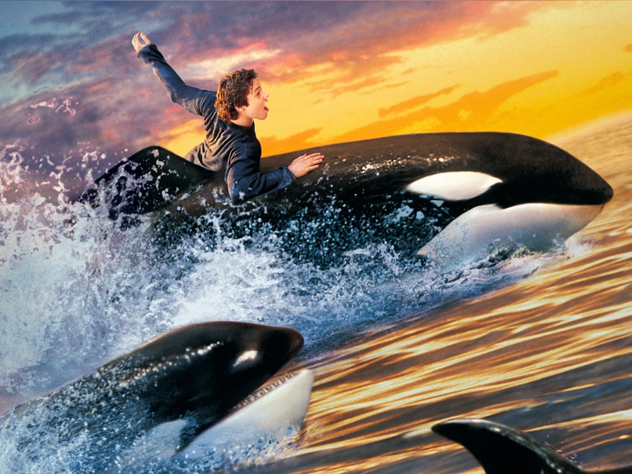 Free Willy The Whale