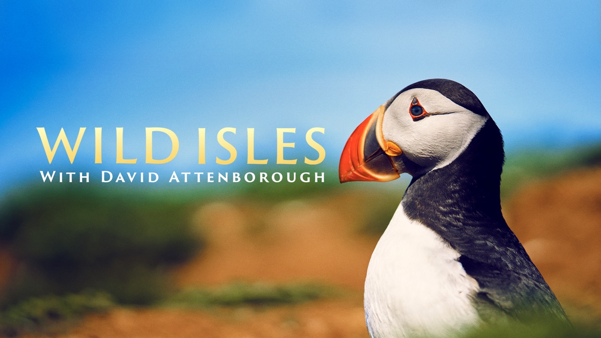 ‎Wild Isles - Apple TV