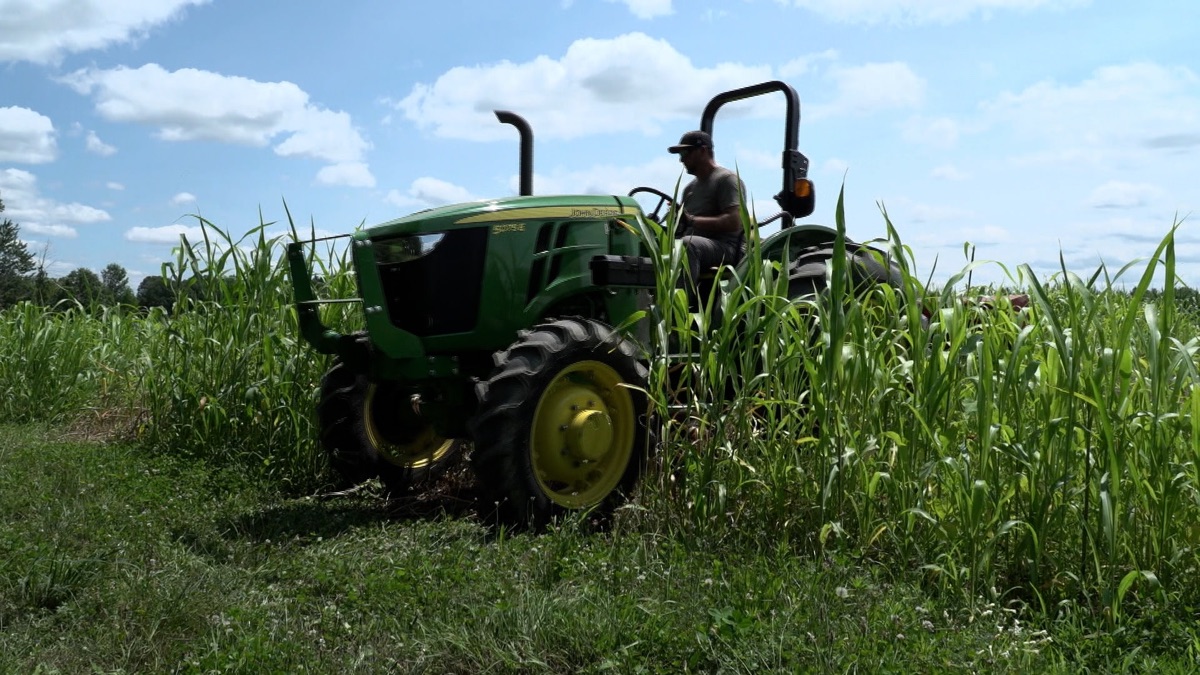 Food Plot Strategies – American Archer (Season 2023, Episode 3) - Apple ...