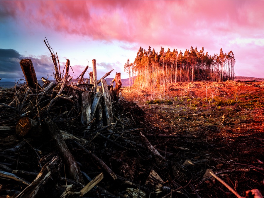 Atlas Of A Changing Earth - Apple TV (CA)