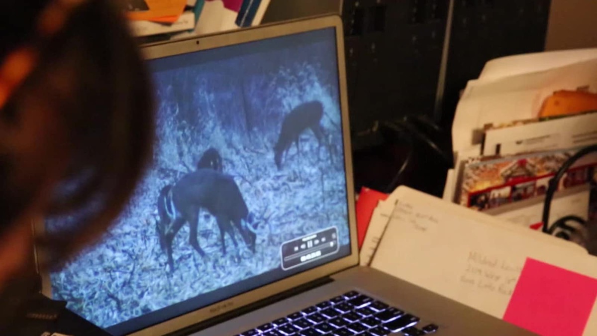 Landry's In Kandiland 2 - Whitetail Freaks (Season 11, Episode 13 ...