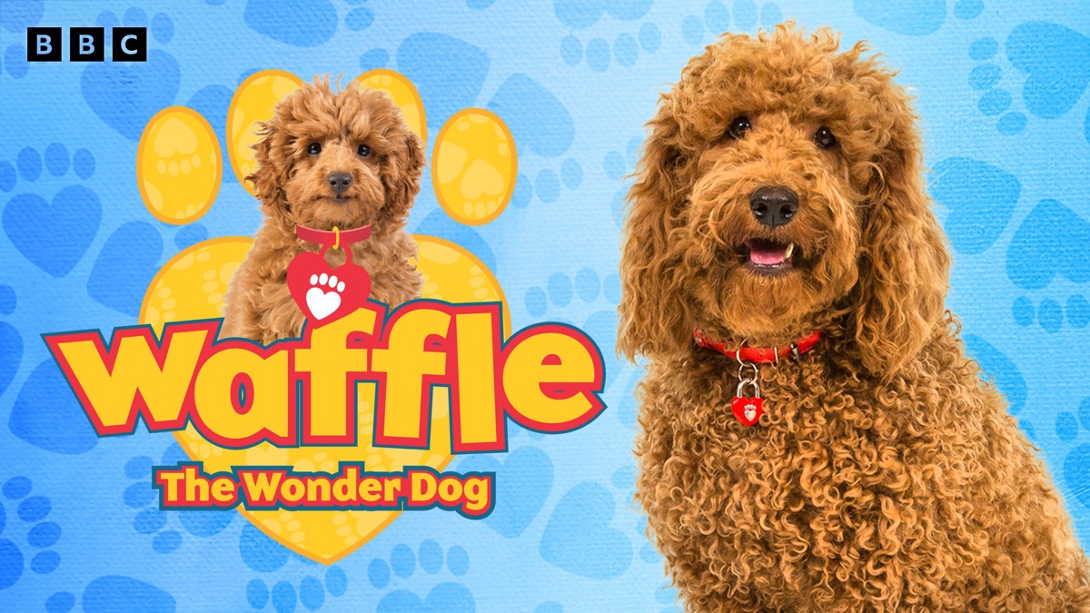 ‎Waffle the Wonder Dog - Apple TV