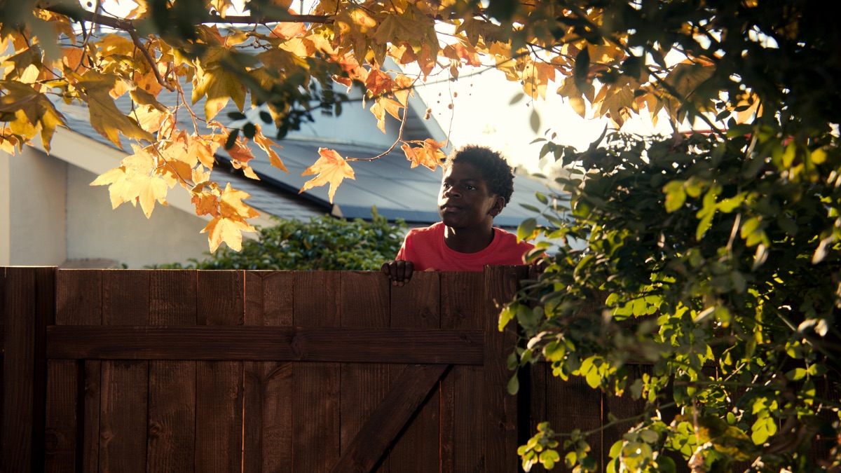 Watch Scars - Life by Ella (Season 1, Episode 3) - Apple TV+