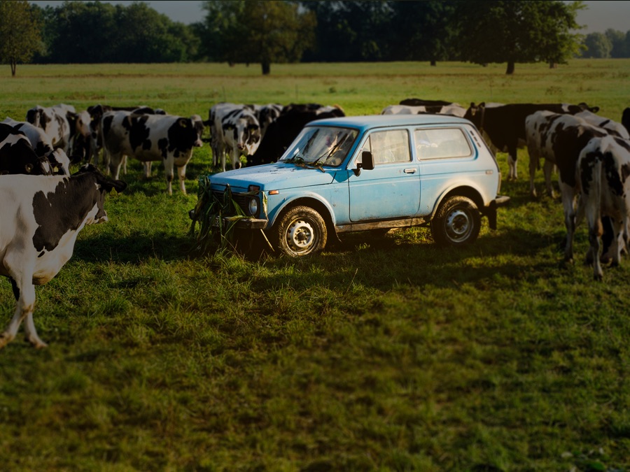 Tschick - Apple TV (DE)