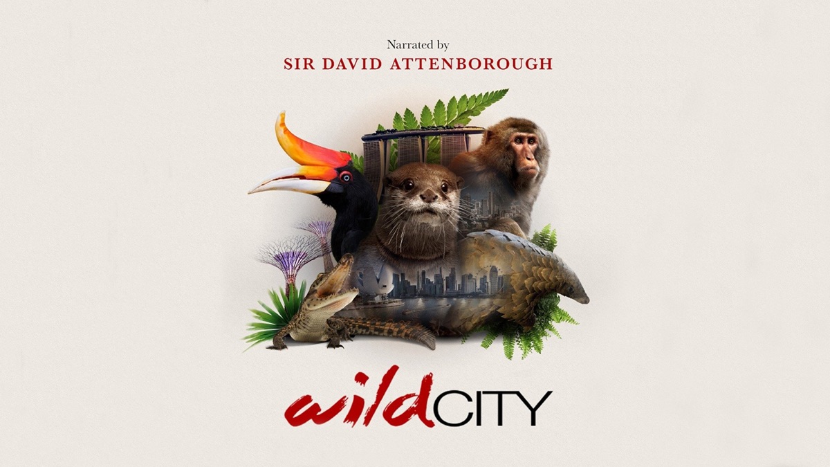 ‎David Attenborough's Wild City - Apple TV