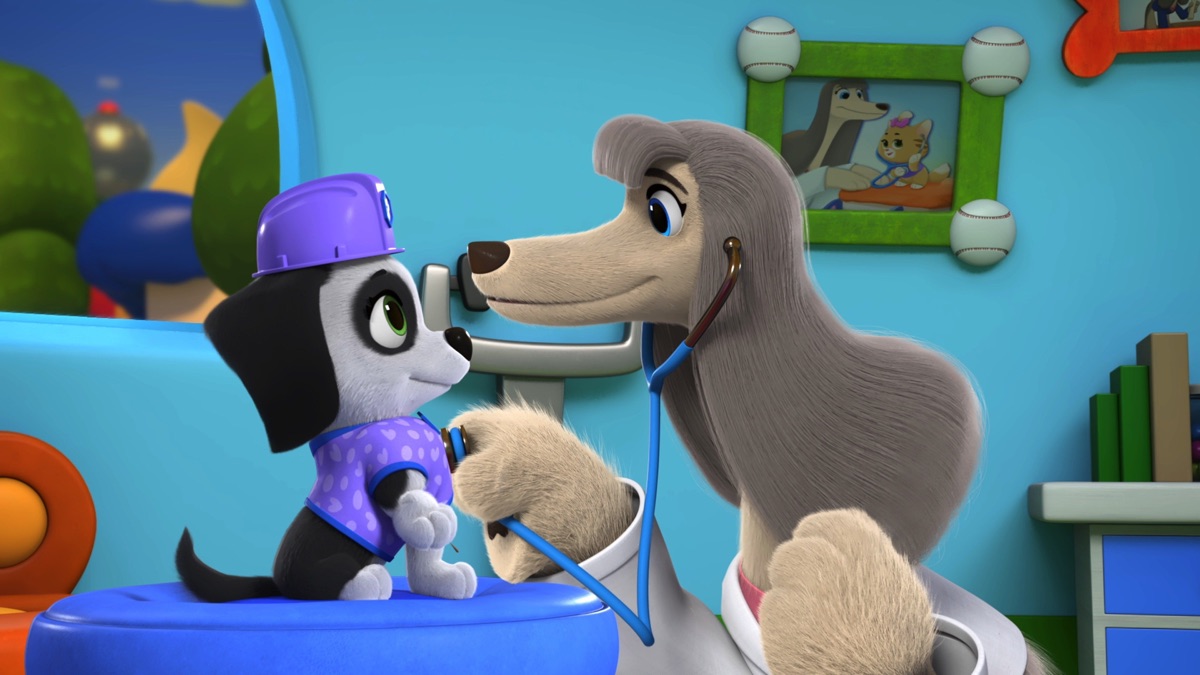 Bailey and the Doggy Doctor / Dog for a Day - Pupstruction (Season 1 ...