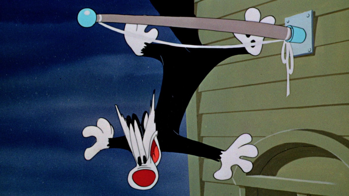 Scaredy Cat Sylvester
