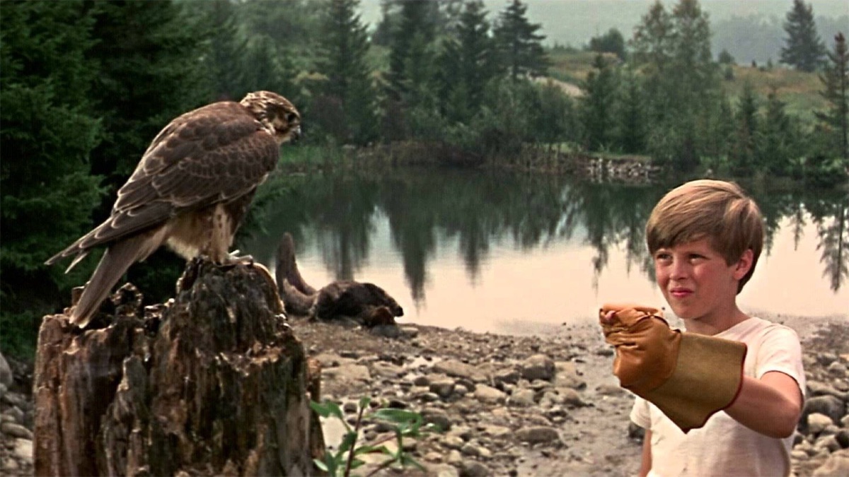 El muchacho y su montaña - Apple TV