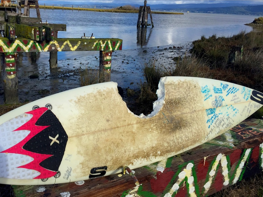 Wrath of a Great White Serial Killer - Apple TV