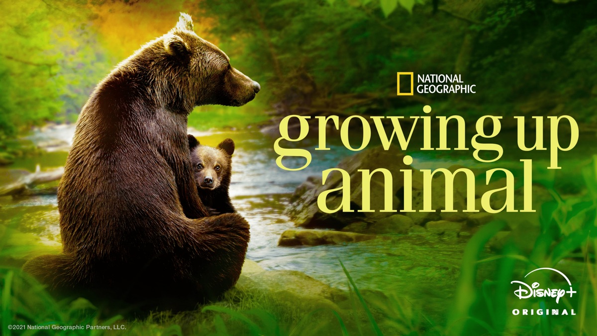 ‎Growing Up Animal - Apple TV