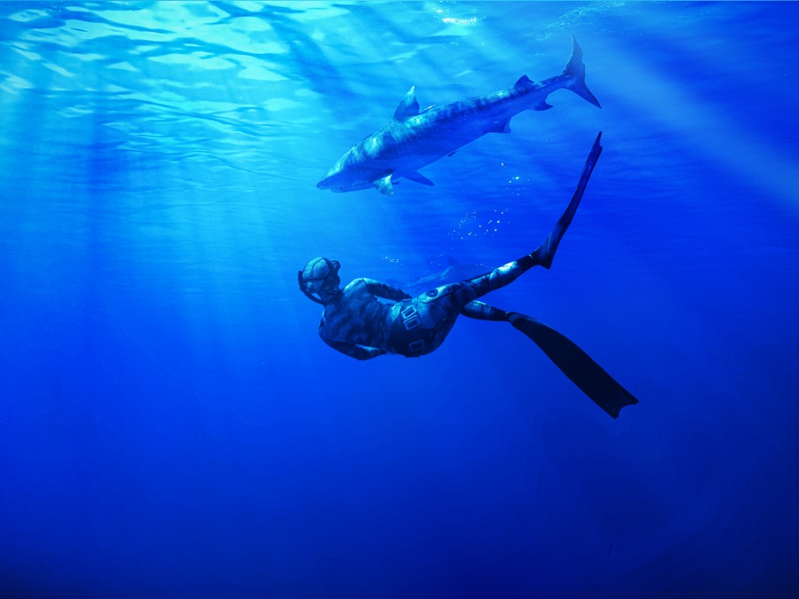 Maui Shark Mystery | Apple TV