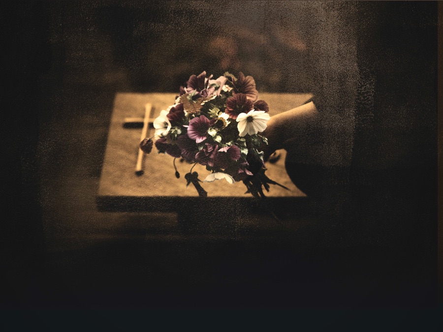 Declaraciones impactantes - Apple TV