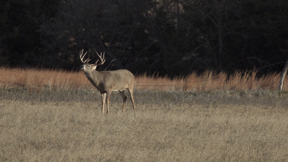 Chasing the Powerpole Buck - Buck Commander (Season 13, Episode 20 ...