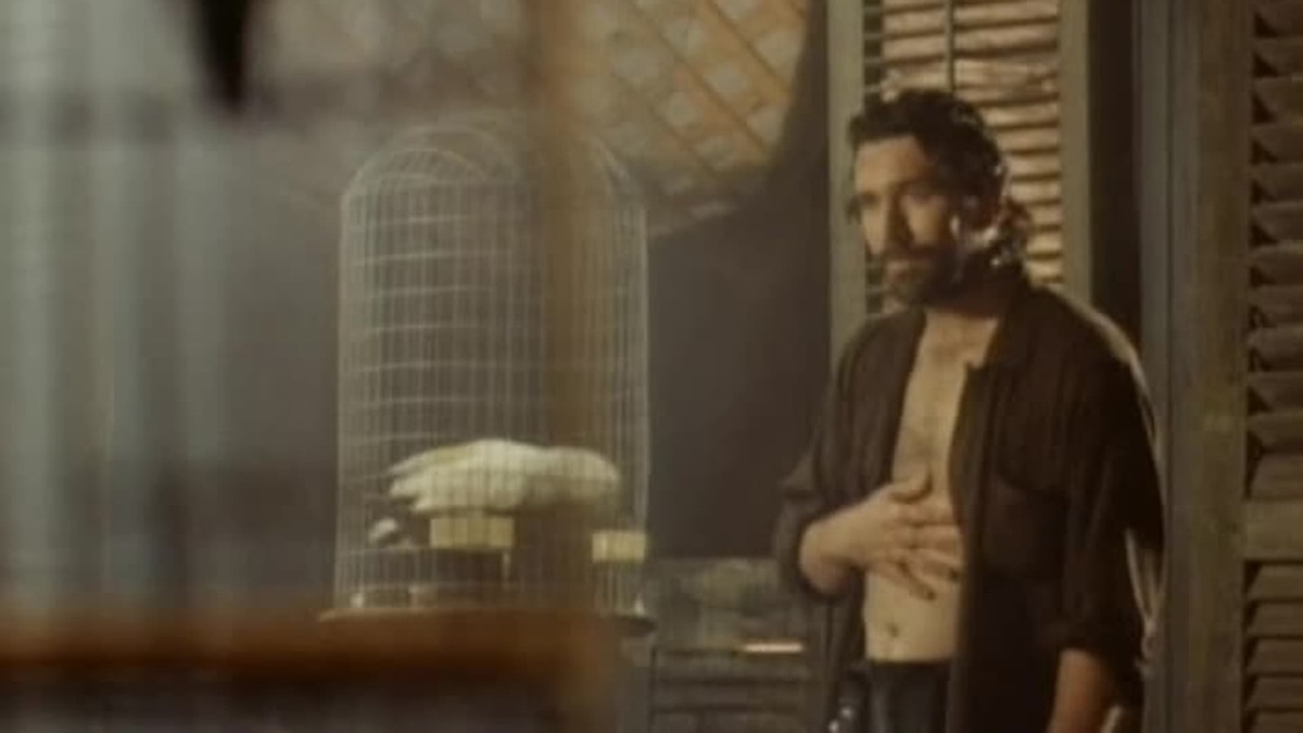 Full Moon Features Carnage Collection: Forbidden Freaks - Apple TV