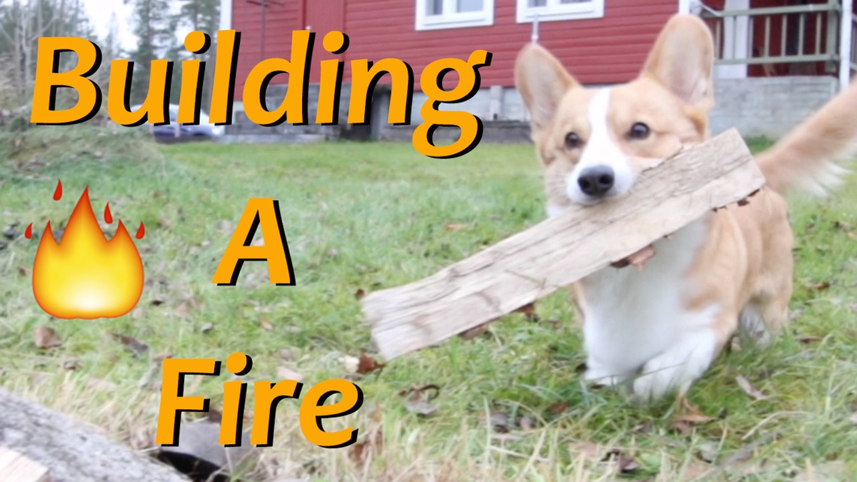 Building up a Campfire - Topi the Corgi (Season 1, Episode 71) - Apple TV