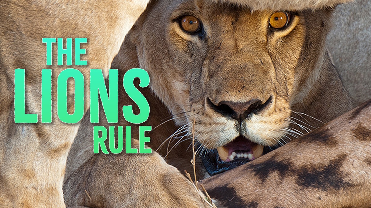 ‎The Lions Rule - Apple TV