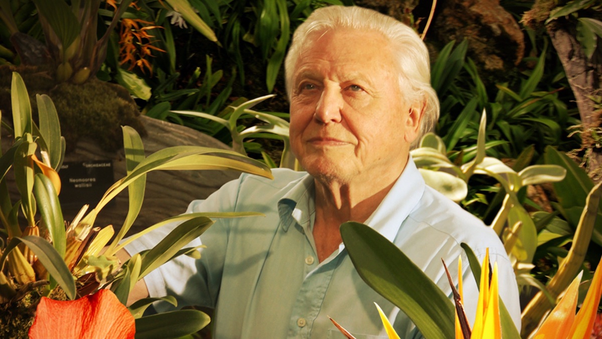 Attenborough's Kingdom of Plants - Apple TV (AU)