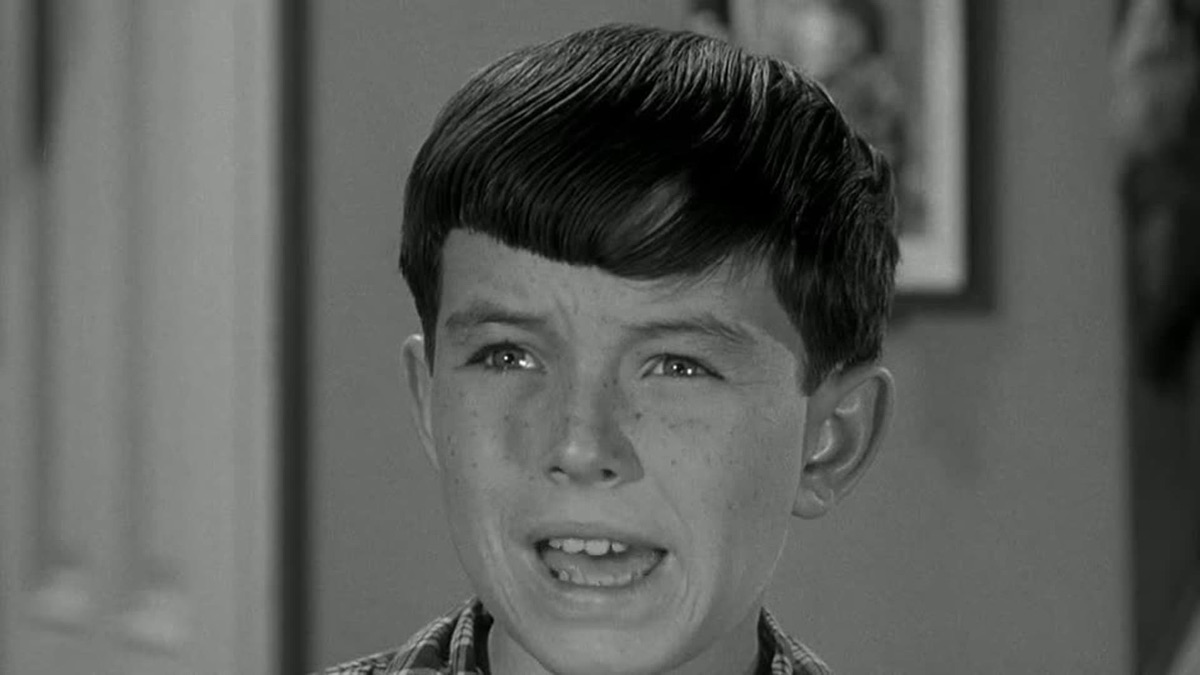 Beaver's Freckles - Leave It to Beaver (Season 4, Episode 5) - Apple TV