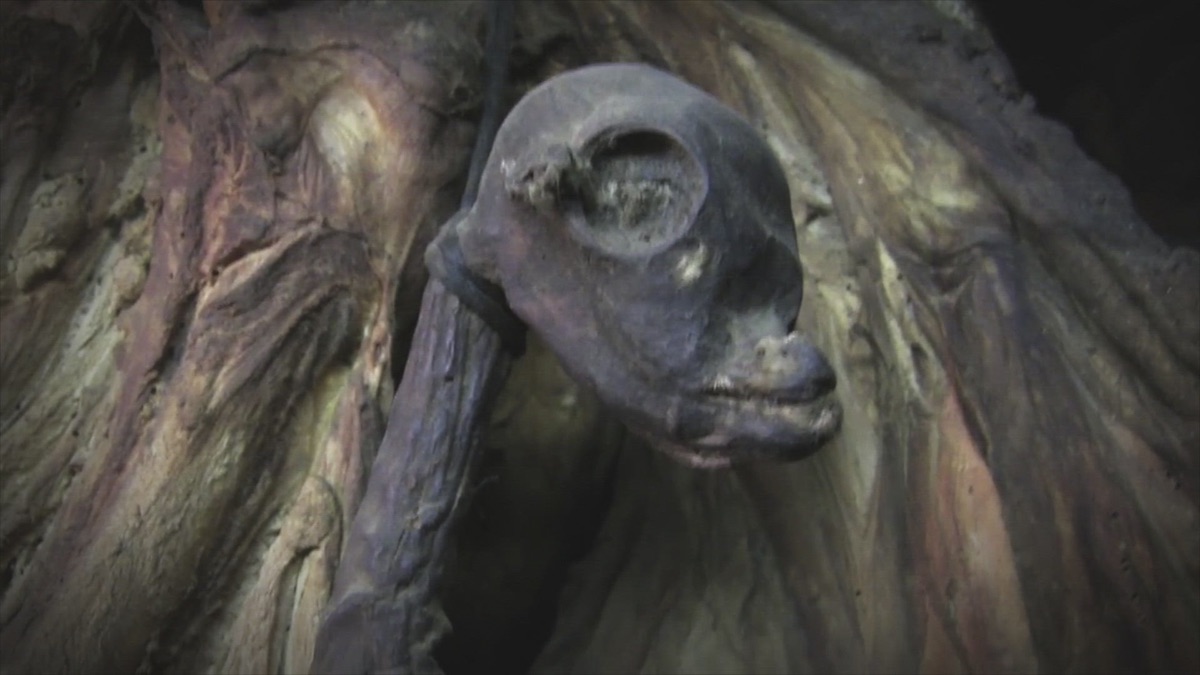 Mystery Bird Monster, Ancient Alien Sate - The Proof Is Out There ...