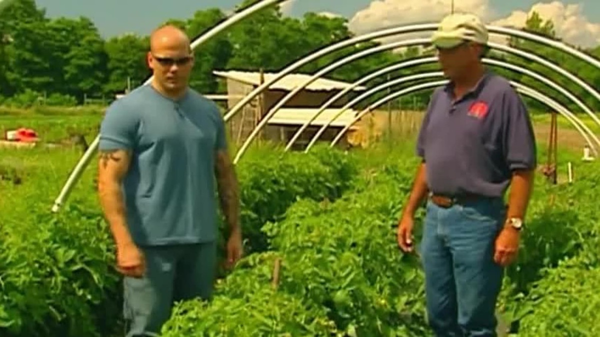 The Grill Sergeants - Apple TV