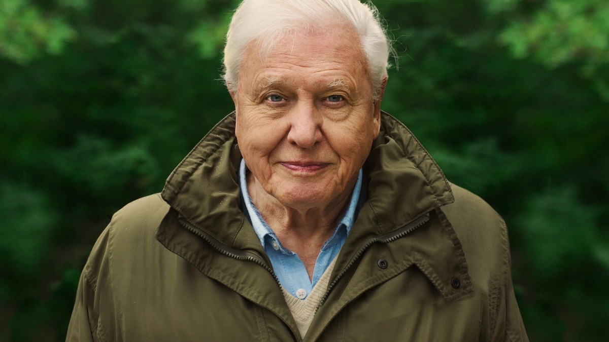 David Attenborough: Una vida en nuestro planeta - Apple TV