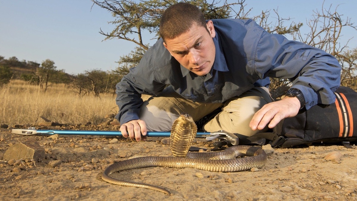 Venom Hunter with Donald Schultz - Apple TV (UK)