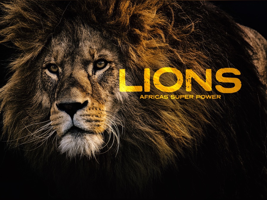 Lions: Africa's Super Power - Apple TV