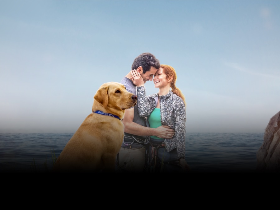 Guiding Emily - Apple TV