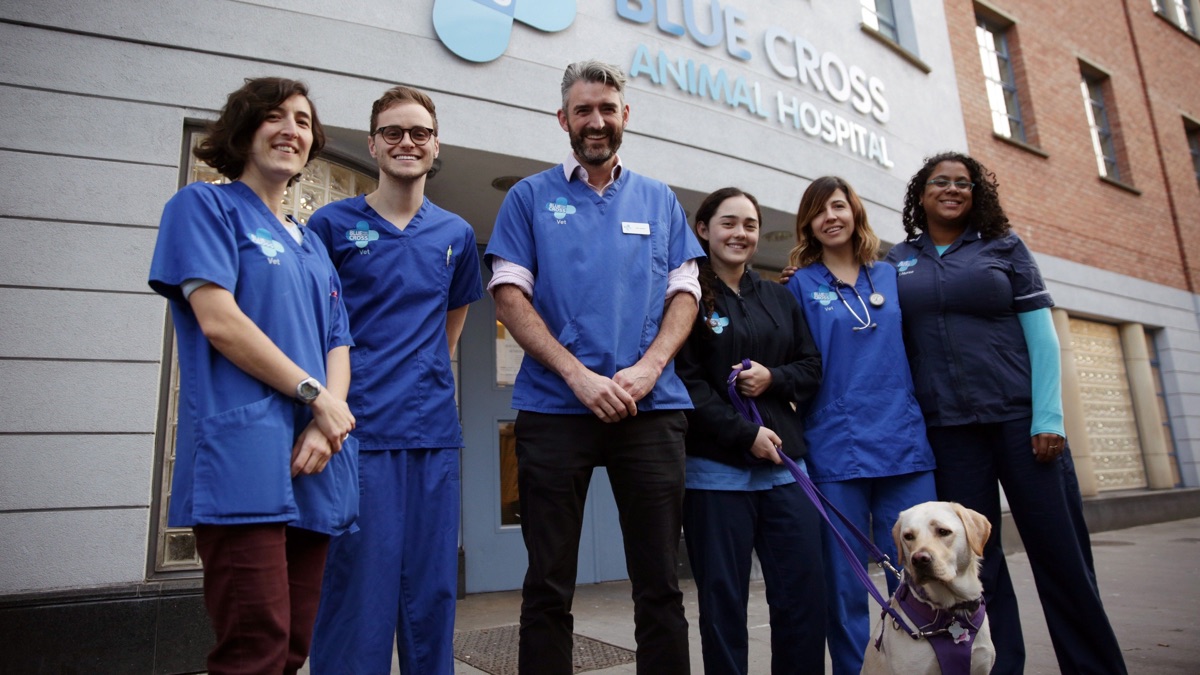 Inside Animal A&E - Apple TV (UK)