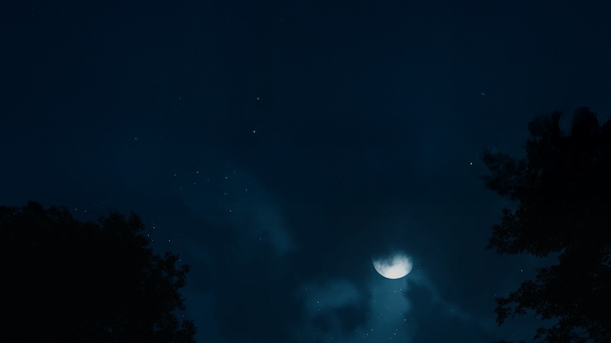 ‎Mars Hill Bait and Ammo - Apple TV