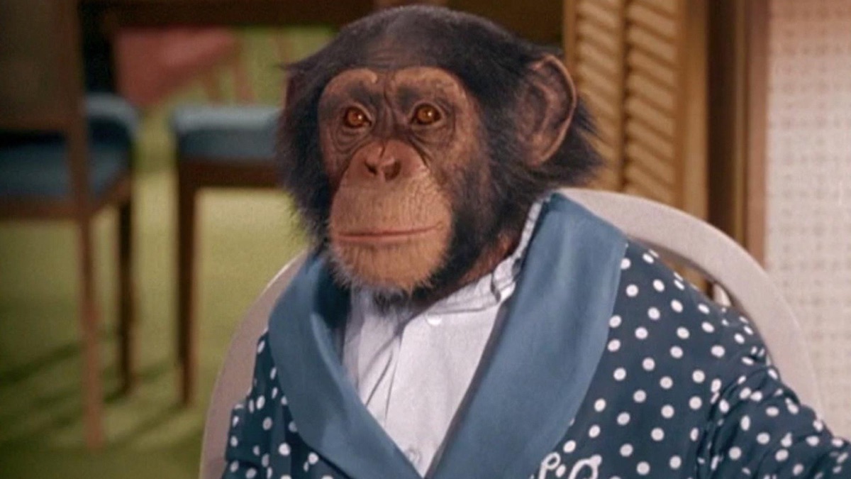 Alias Darrin Stephens – Bewitched (Season 2, Episode 1) - Apple TV (AU)