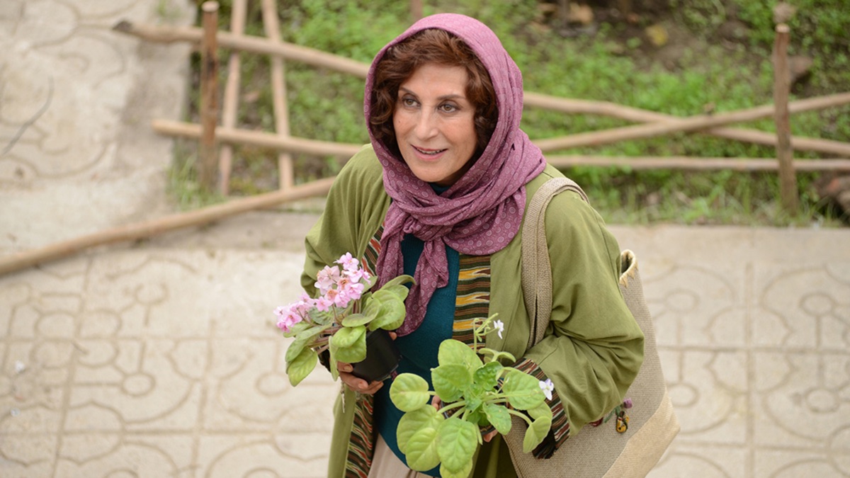 African Violet - Apple TV (AU)