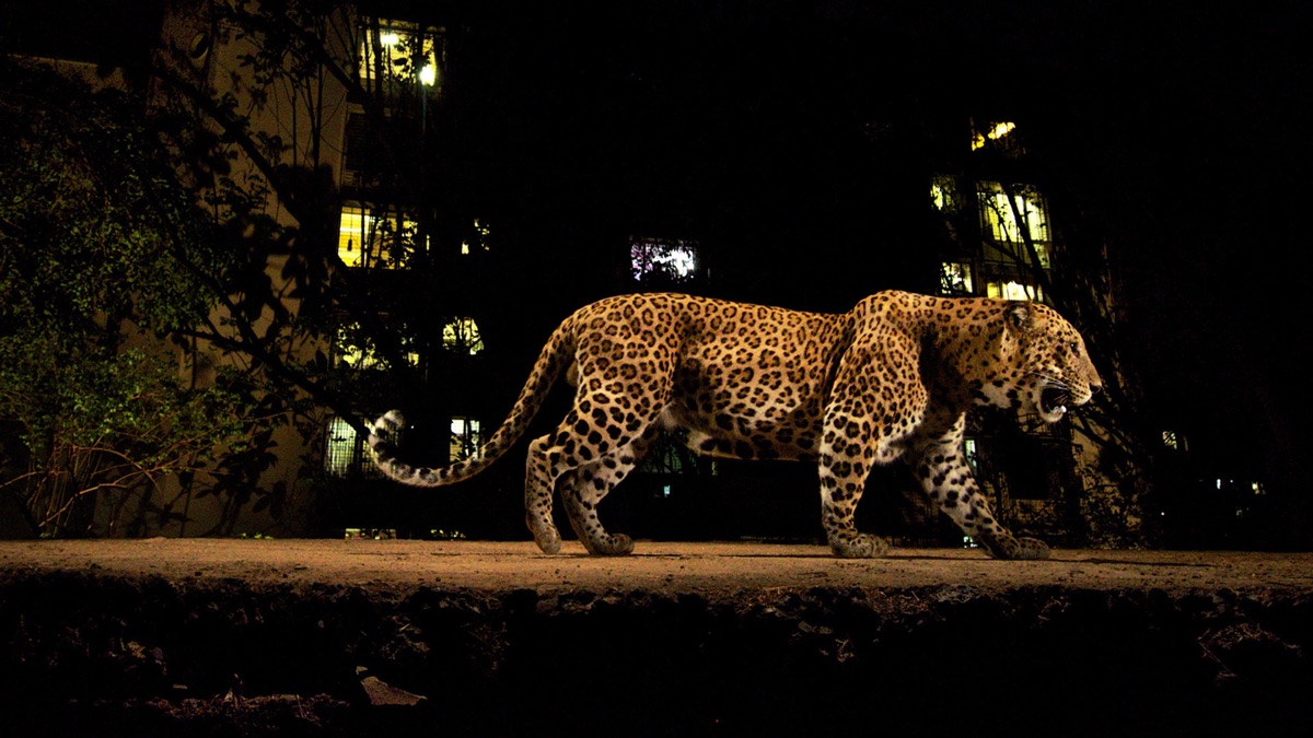 Mission Critical – Apple TV (SE)