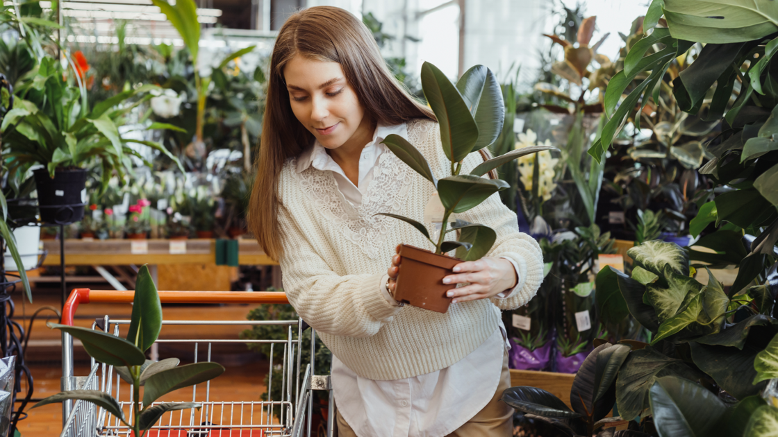 【PlantIn: Plant Scan Identifier】-App Store下载分析-点点数据