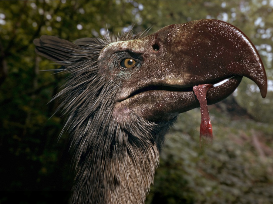 Top Ten Deadliest Beasts - Apple TV