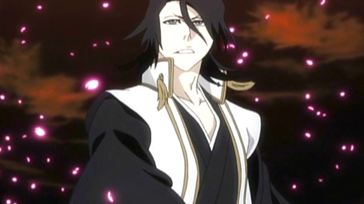 Fierce Fight! Shinigami vs. Xcution! - Bleach (Series 16, Episode 21 ...