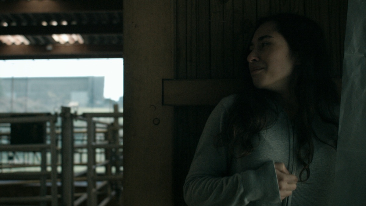 Anonymous Animals - Apple TV