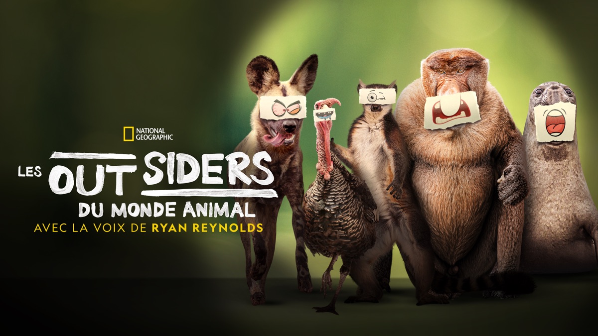 ‎Les outsiders du monde animal - Apple TV