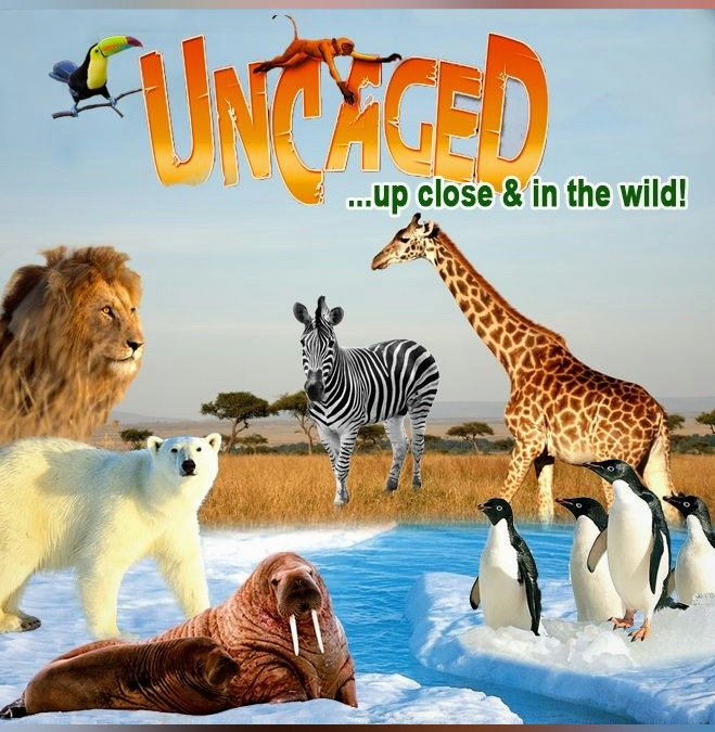 Uncaged - Apple TV