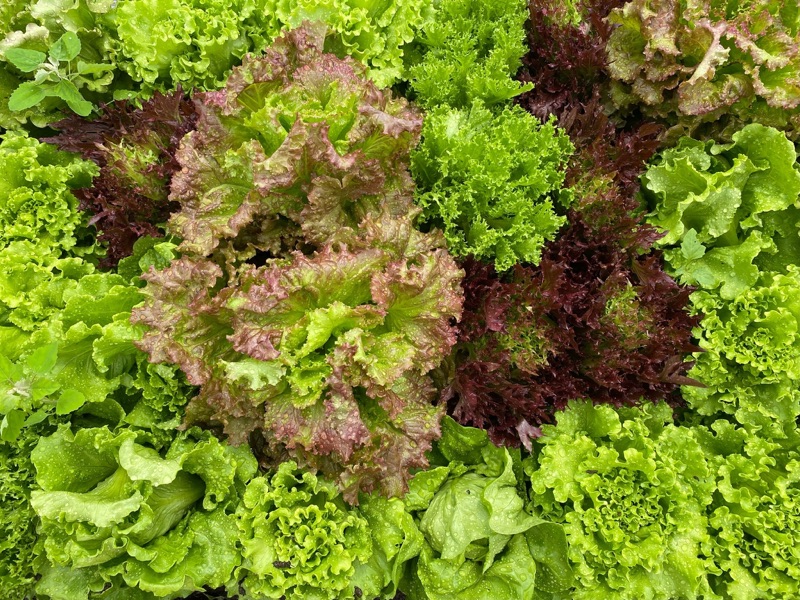 Ohio Valley Farmers' Markets - Apple Maps